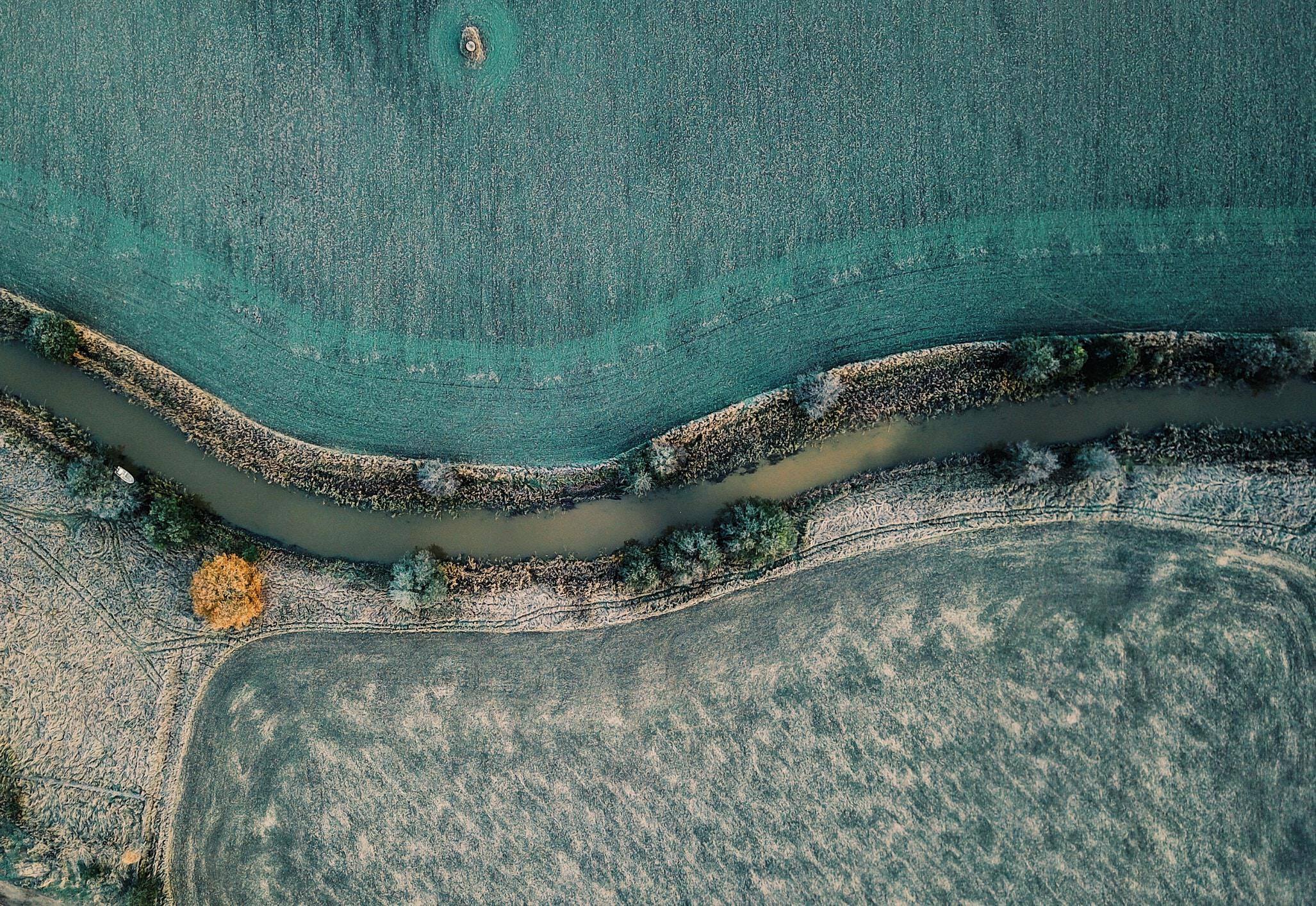 David Modiano Joins Thalēs as Managing Director of Capital Strategies ...