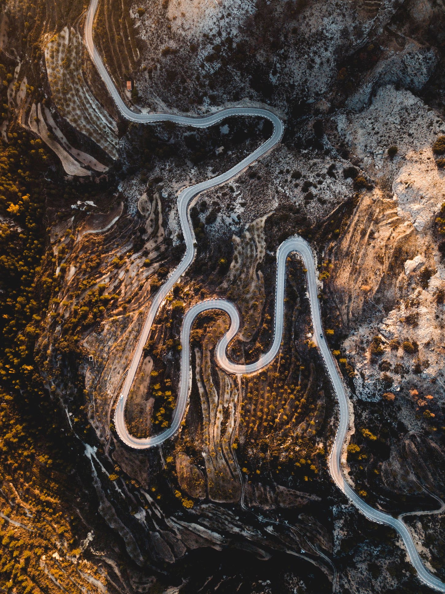 Thalēs Showcases New Technology in Client Rollout – Thalēs